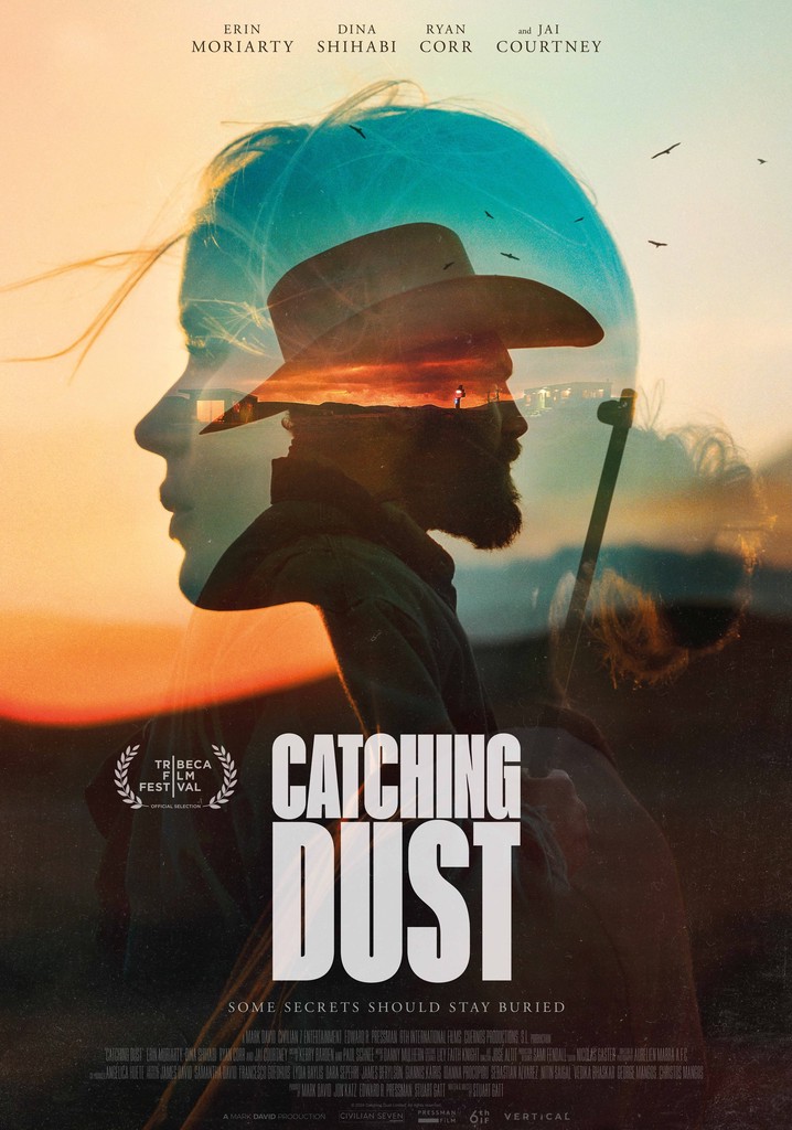 Catching Dust streaming: where to watch online?