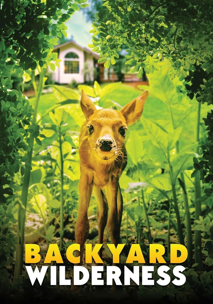 Backyard Wilderness streaming: where to watch online?