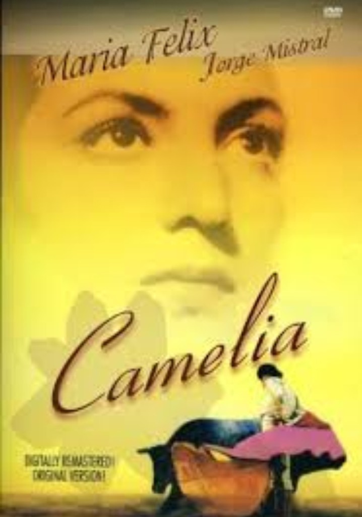 Camelia streaming: where to watch movie online?