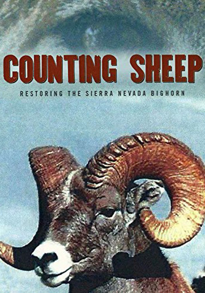 Counting Sheep streaming: where to watch online?