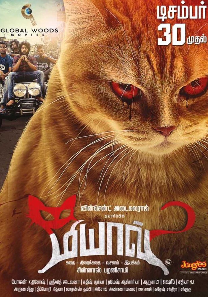 Meow streaming: where to watch movie online?