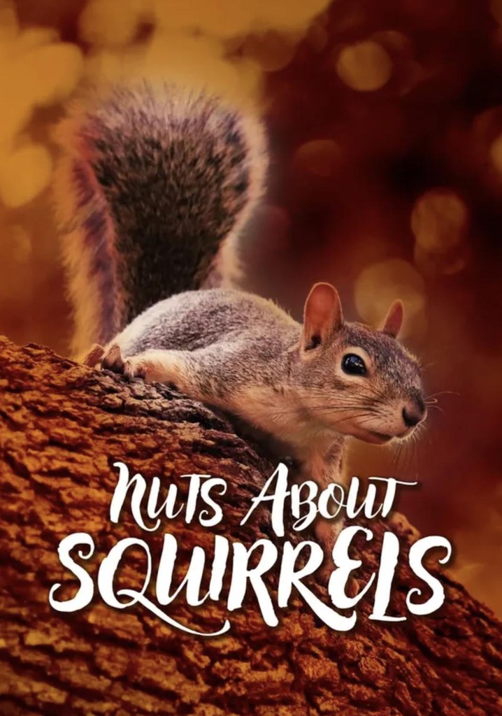 Nuts About Squirrels streaming: where to watch online?