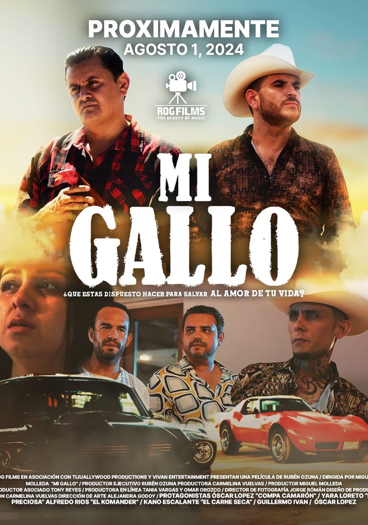 Mi Gallo streaming: where to watch movie online?