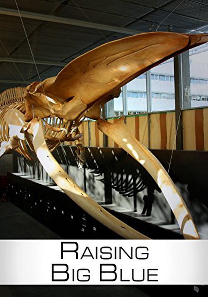 Raising Big Blue streaming: where to watch online?