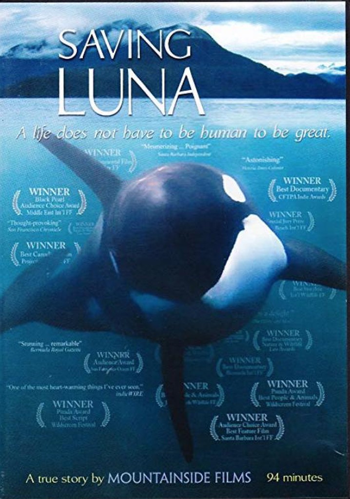 Saving Luna - movie: where to watch stream online