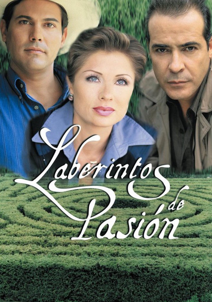 Labyrinth of Passion - streaming tv show online