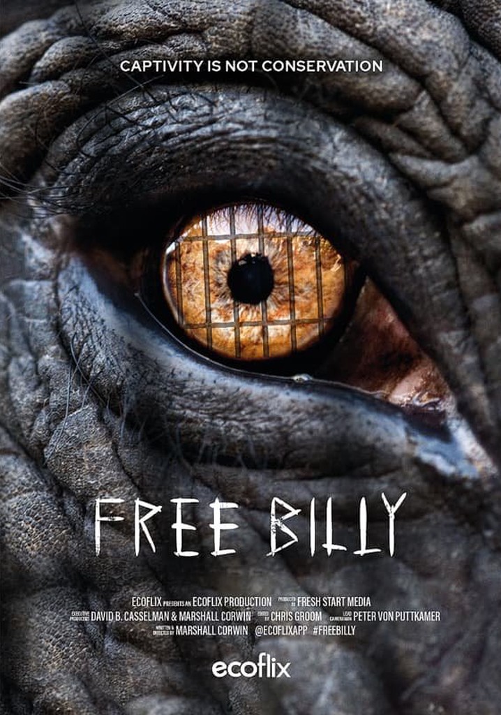 Free Billy streaming: where to watch movie online?