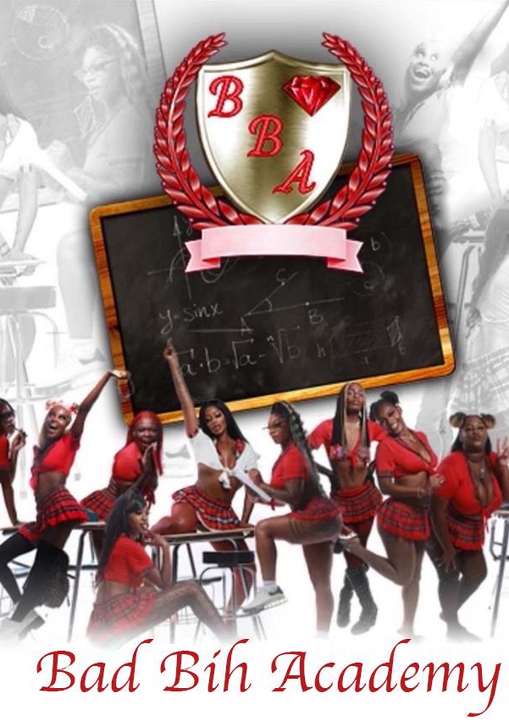 Bad Bih Academy - streaming tv series online