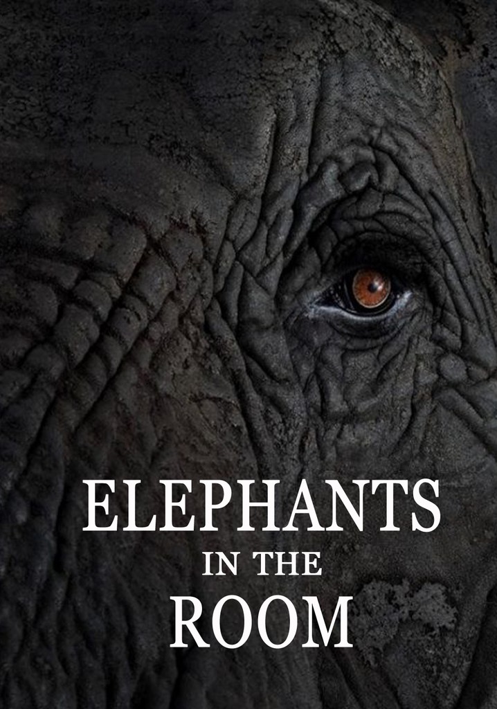 Elephants in the Room - movie: watch stream online