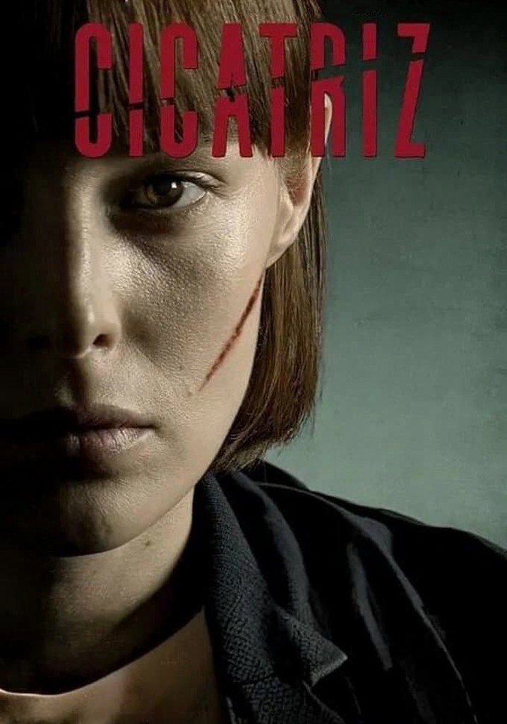 Cicatriz - Ver la serie online completa en español