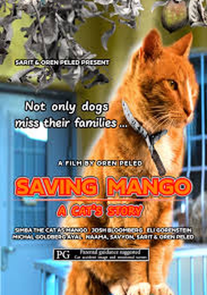 Saving Mango - A Cat's Story streaming online