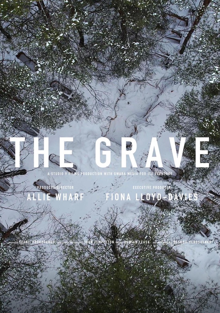The Grave streaming: where to watch movie online?