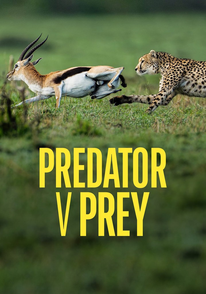 Predator v Prey - streaming tv show online