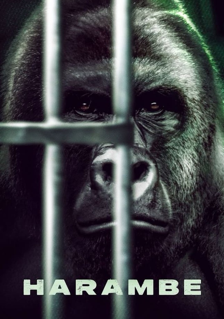 Harambe streaming: where to watch movie online?
