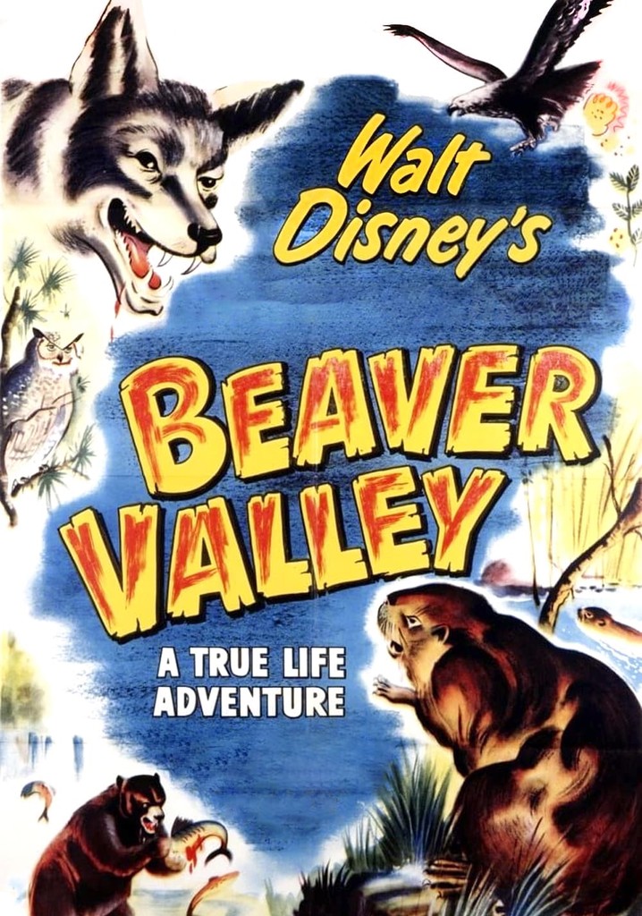 Beaver Valley streaming: where to watch online?