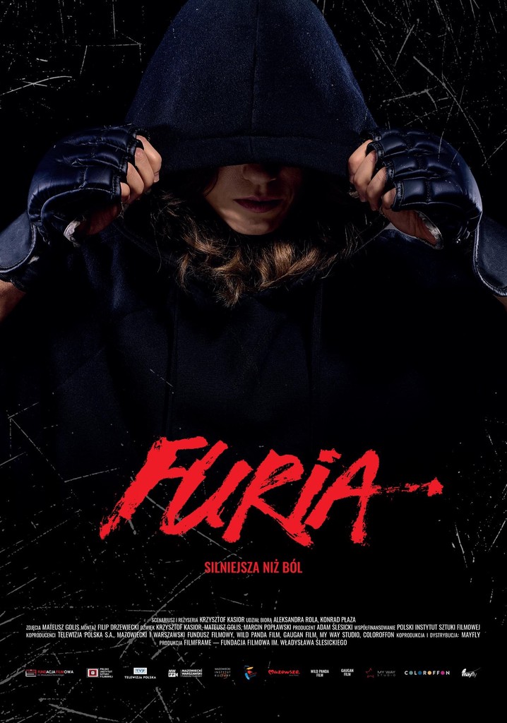 Fury filme - Veja onde assistir online