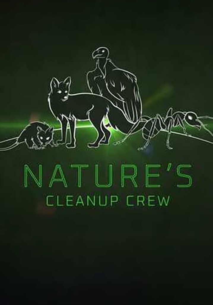 Clean Up Crew streaming: where to watch online?