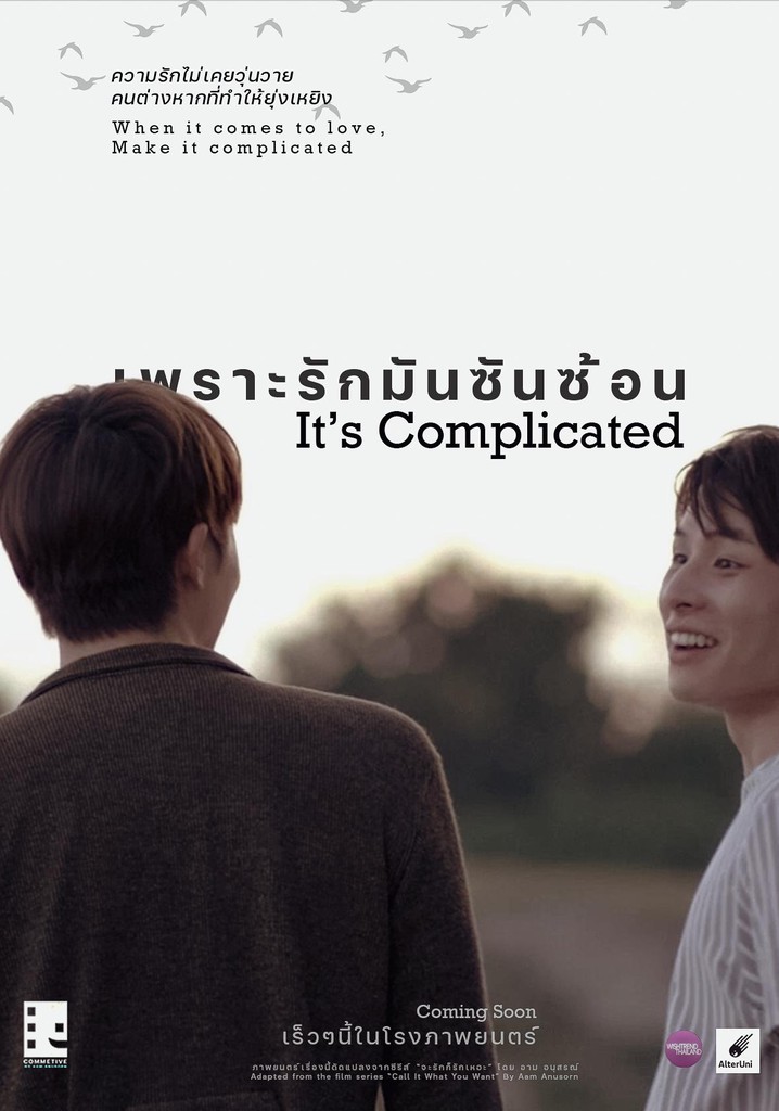 It's Complicated - película: Ver online en español