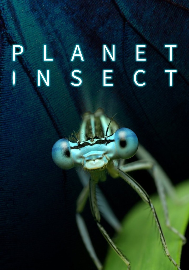 Planet Insect - streaming tv show online