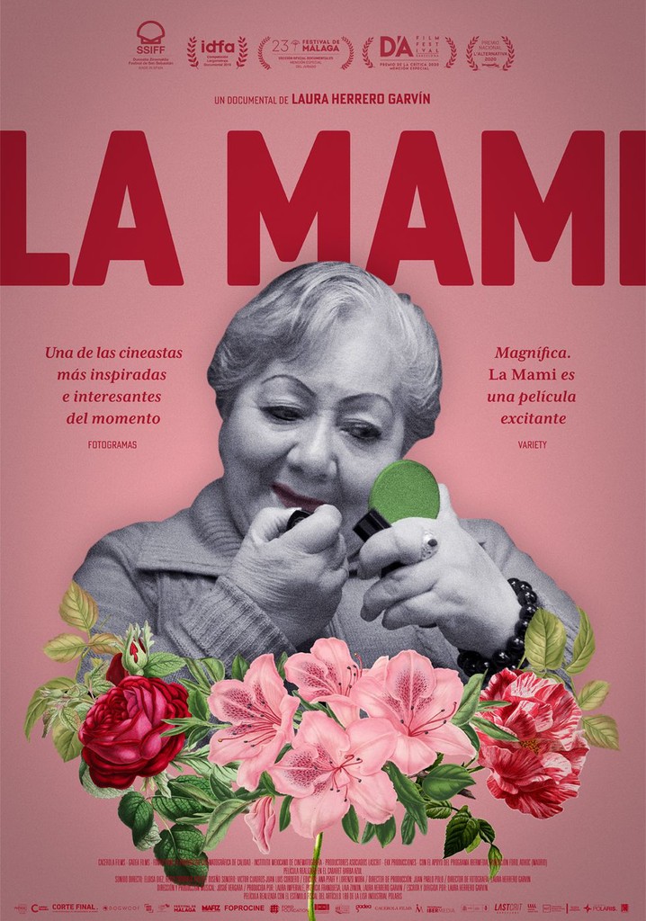 La Mami streaming: where to watch movie online?