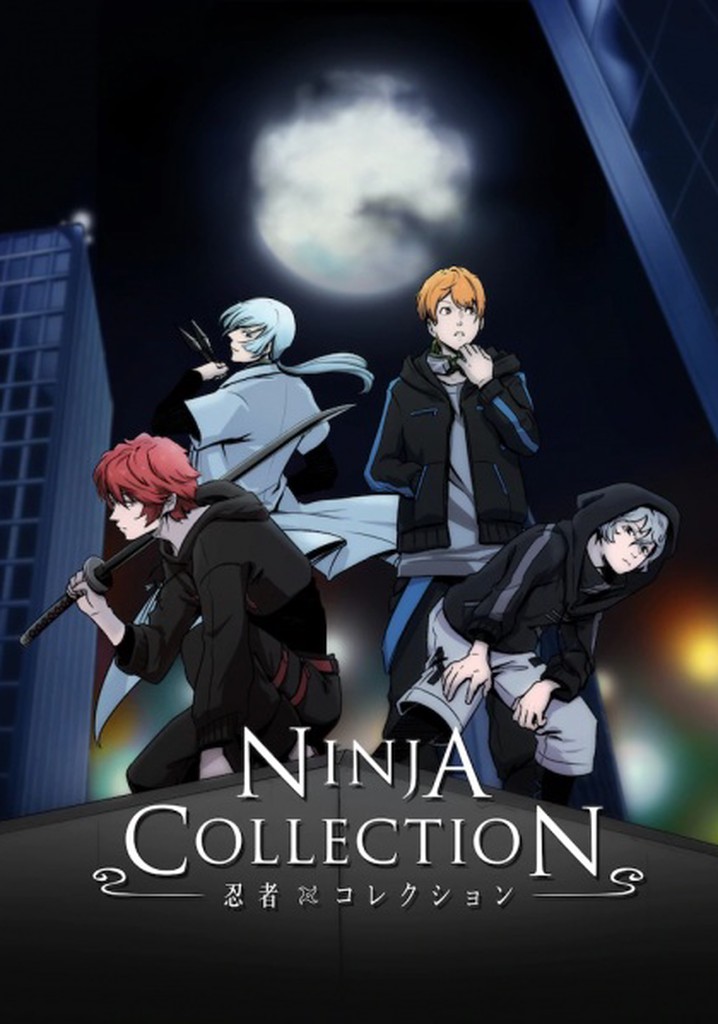 Ninja Collection - Ver la serie de tv online