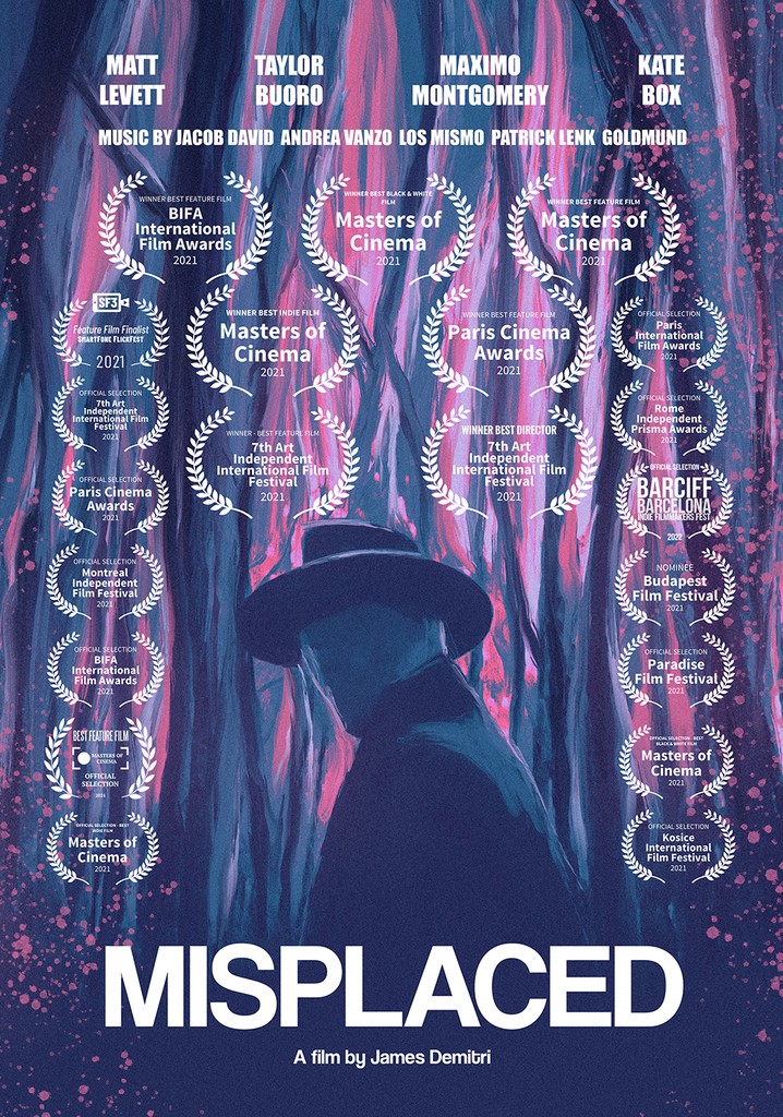 Misplaced streaming: where to watch movie online?