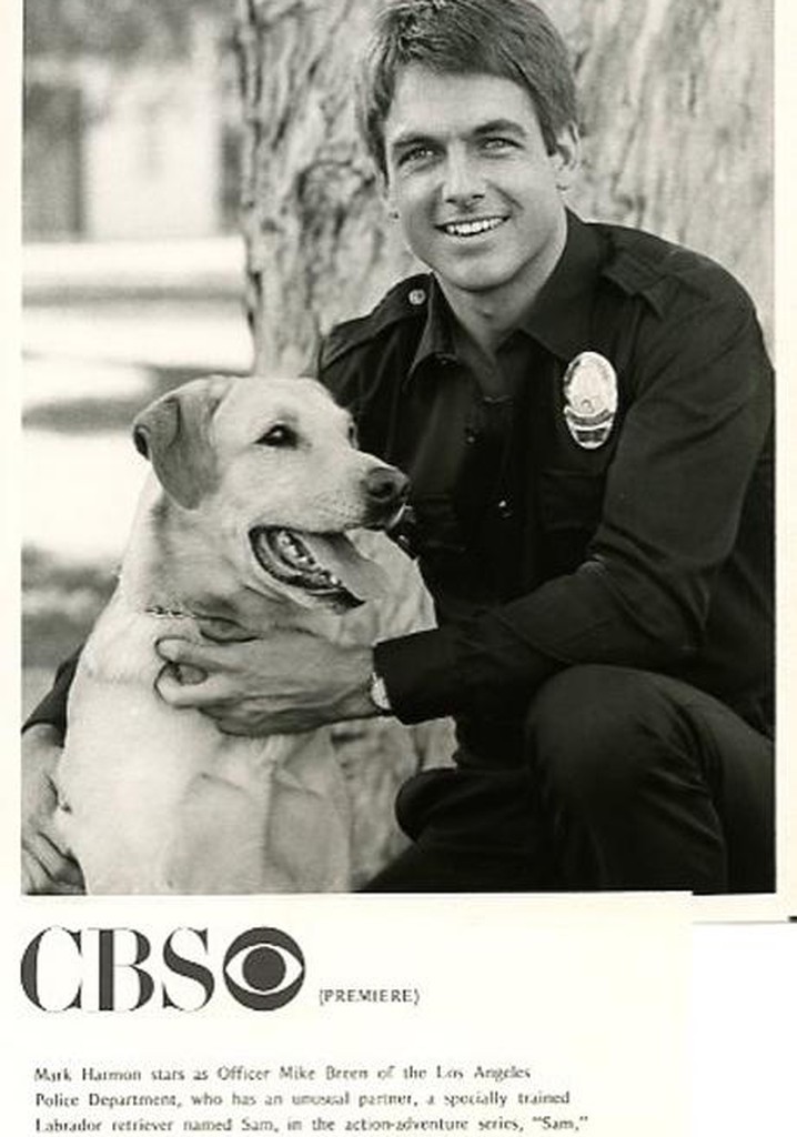 Sam - watch tv show streaming online