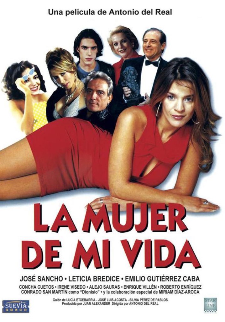La mujer de mi vida - película: Ver online en español