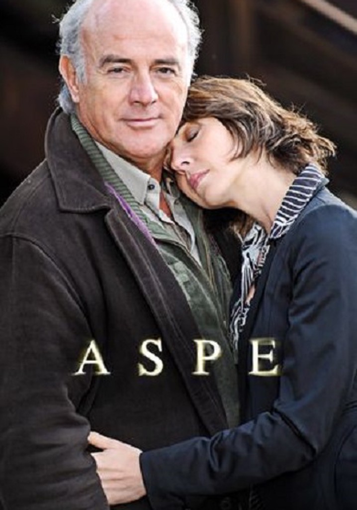 Où regarder la série Aspe en streaming