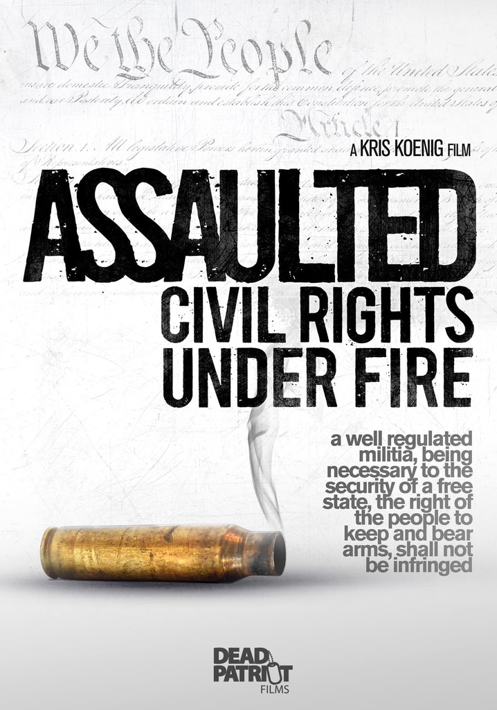 Assaulted: Civil Rights Under Fire online Assaulted: Civil Rights Under Fire online