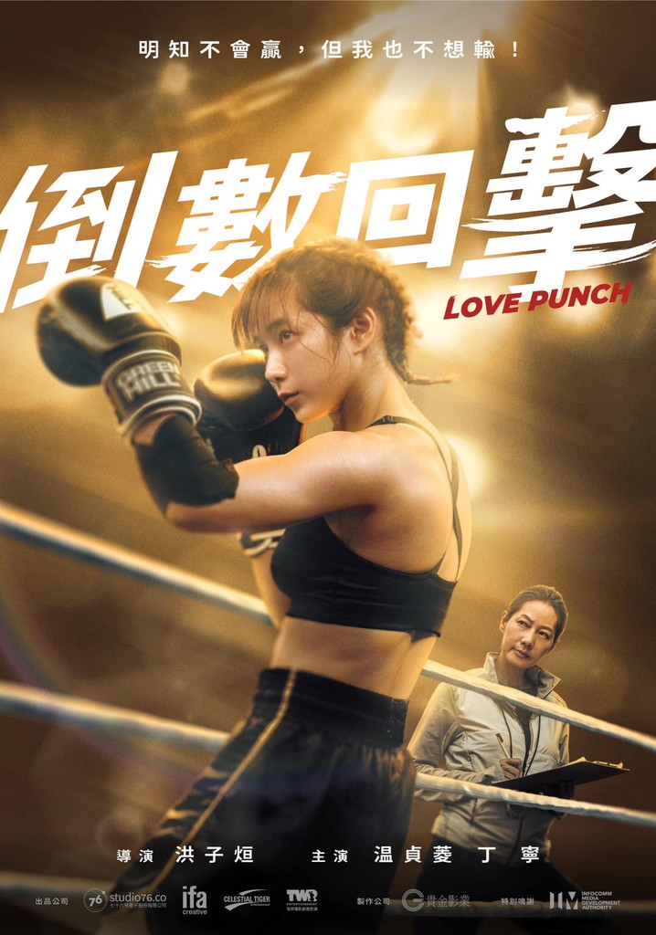 Love Punch streaming: where to watch movie online?