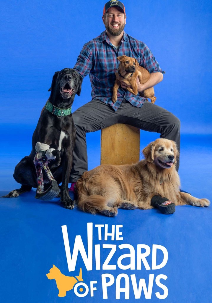 The Wizard of Paws - streaming tv show online