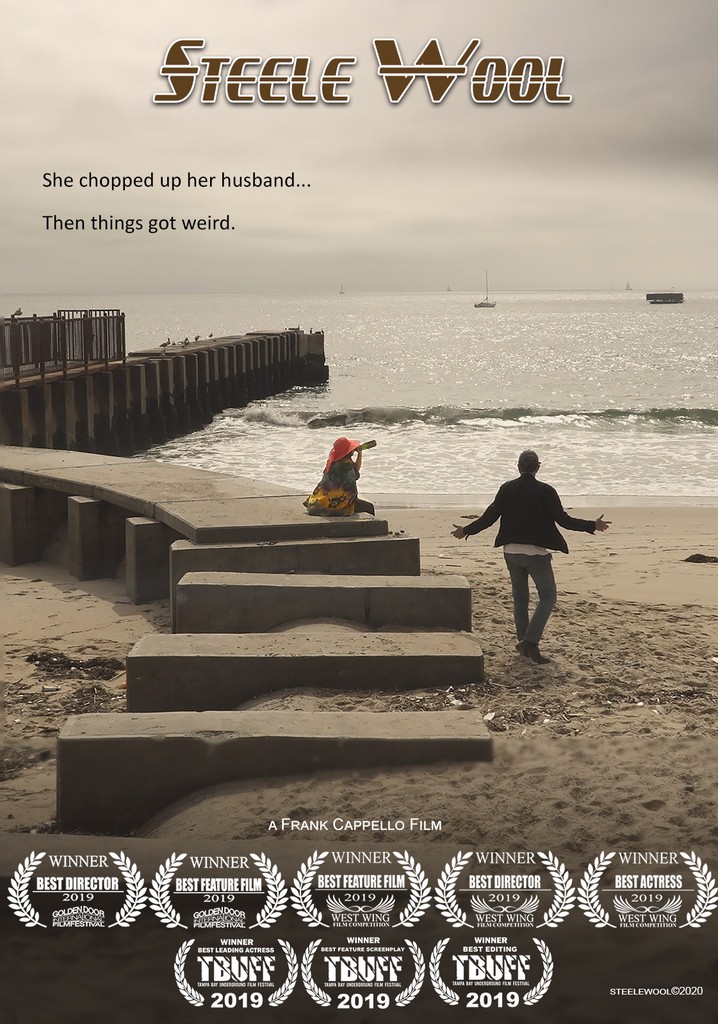 Steele Wool - película: Ver online completa en español