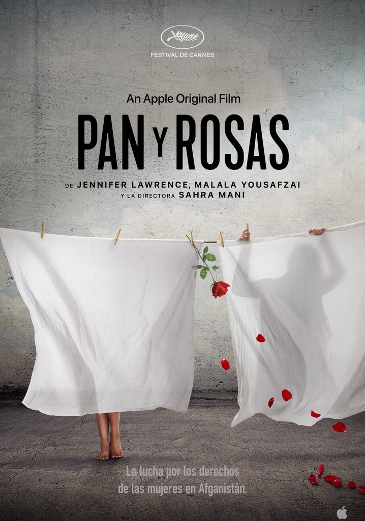 Pan y rosas - película: Ver online completa en español