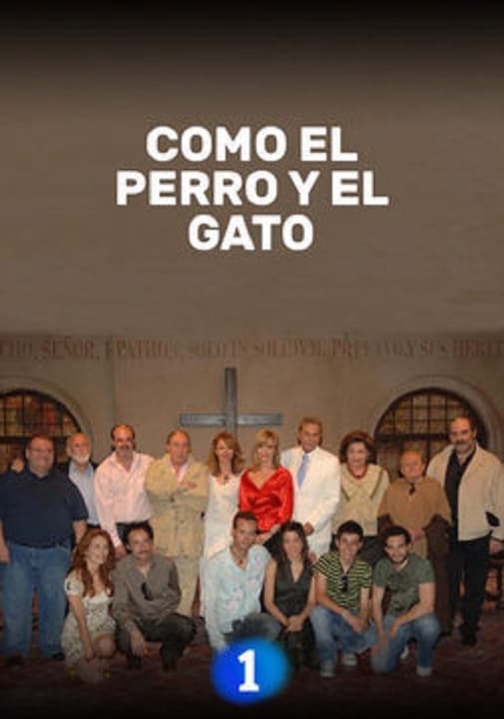 Como el perro y el gato - Ver la serie online