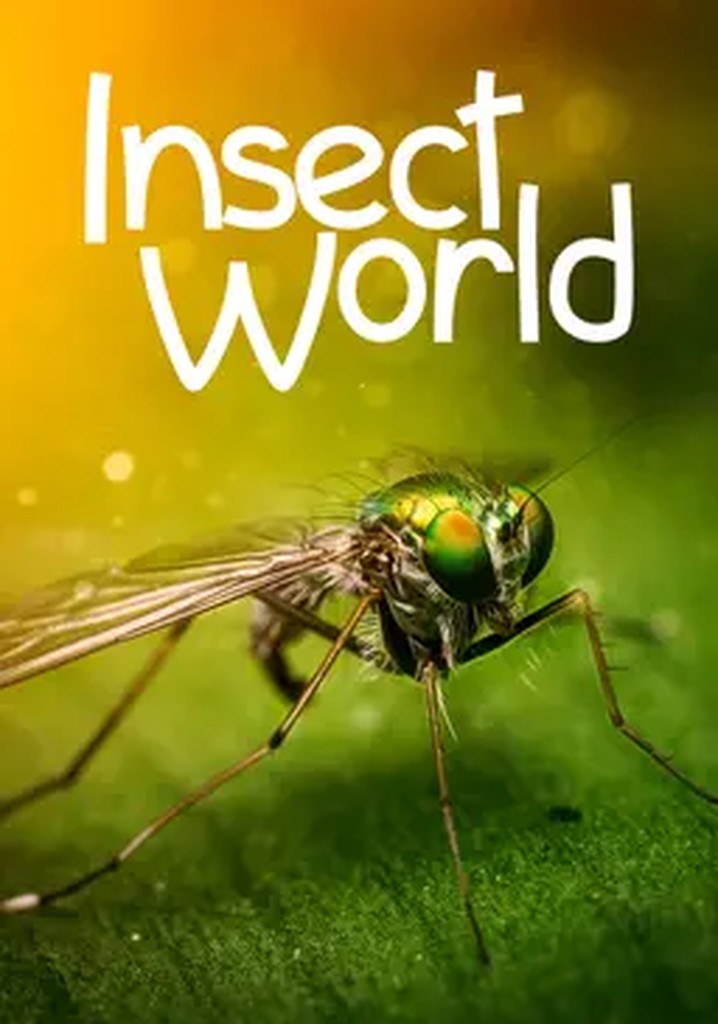 Insect World streaming: where to watch movie online?