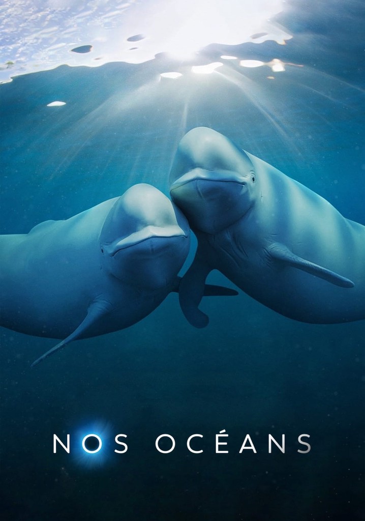 Où regarder la série Nos océans en streaming
