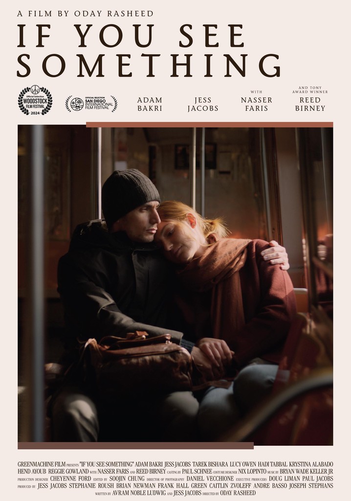 If You See Something streaming: where to watch online?