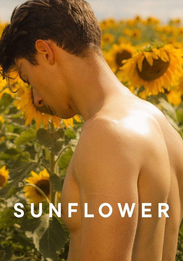 Sunflower filme - Veja onde assistir online