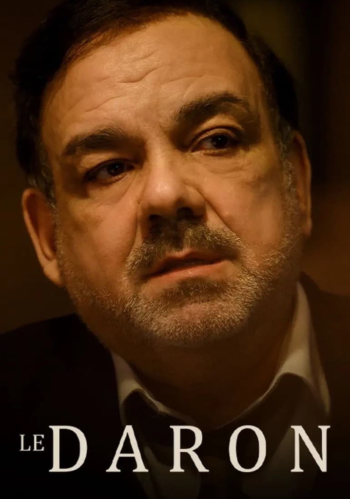 Où regarder la série Le Daron en streaming