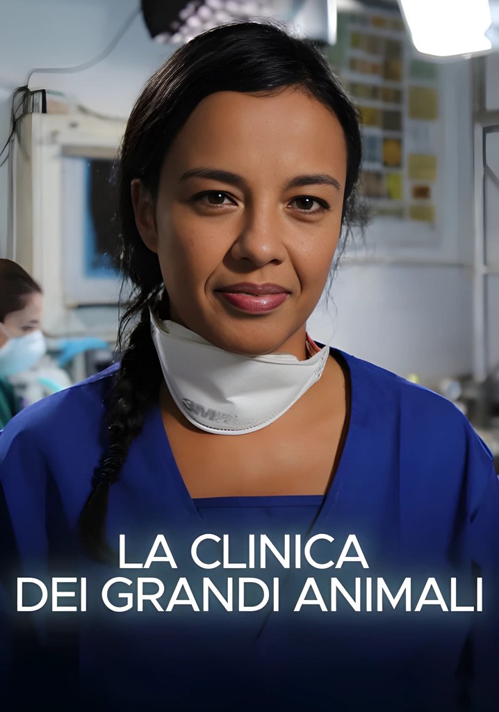 La clinica dei grandi animali - guarda la serie in streaming