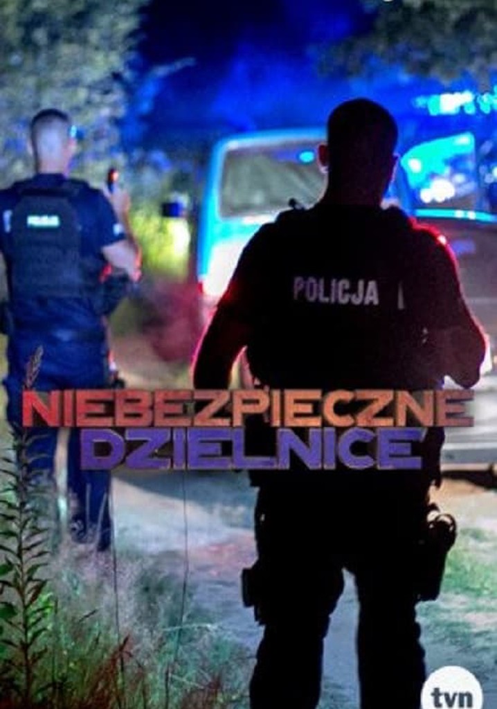 Niebezpieczne Dzielnice - streaming online