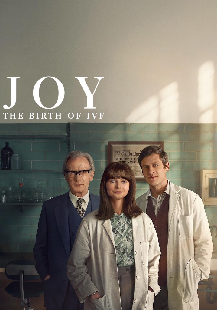 Joy - película: Ver online completa en español