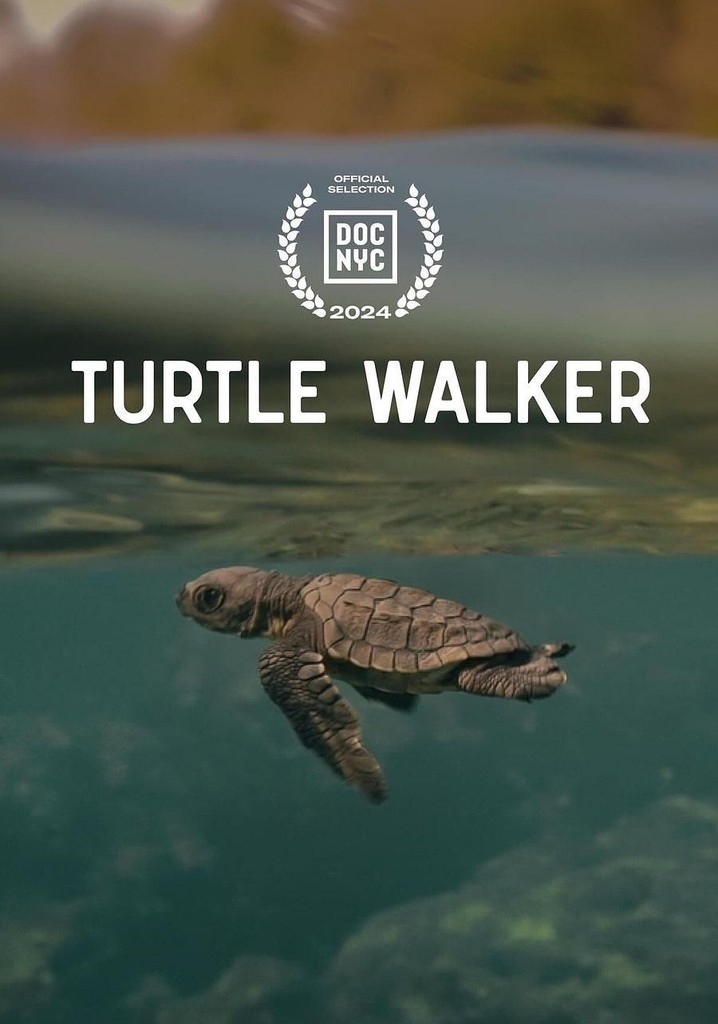 Turtle Walker - movie: watch stream online
