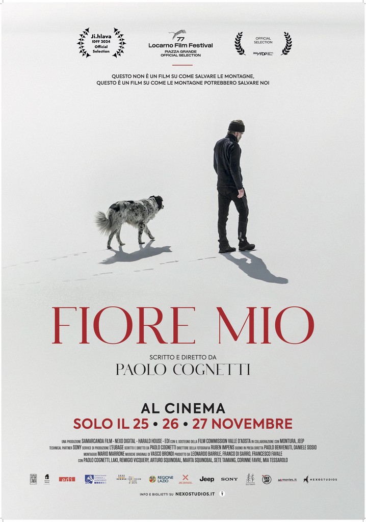 Fiore mio - film: dove guardare streaming online
