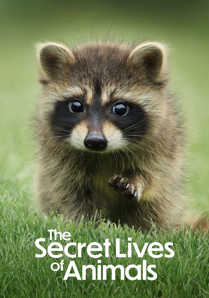 The Secret Lives of Animals - streaming online