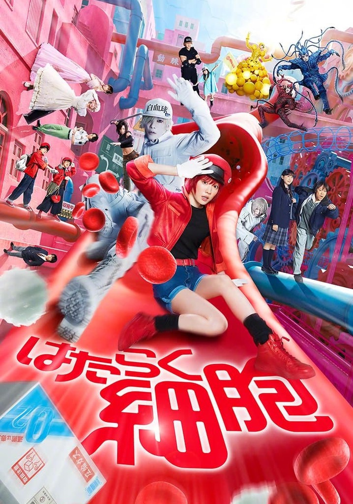 Cells at Work! streaming: where to watch online?