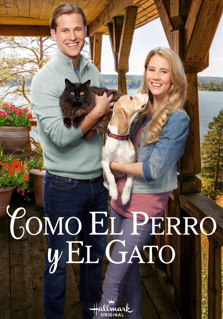 Como el perro y el gato - película: Ver online