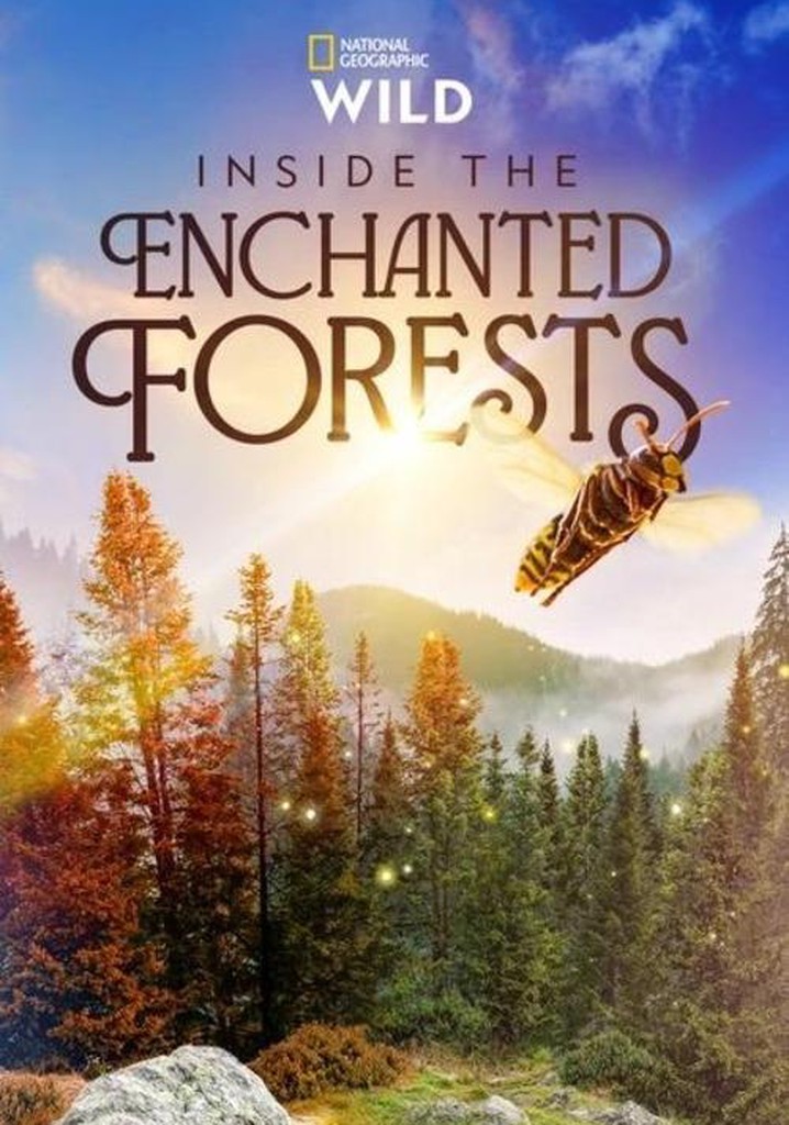 Inside the Enchanted Forests - streaming online