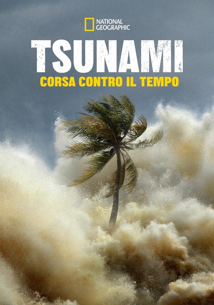 Tsunami: corsa contro il tempo - guarda la serie in streaming